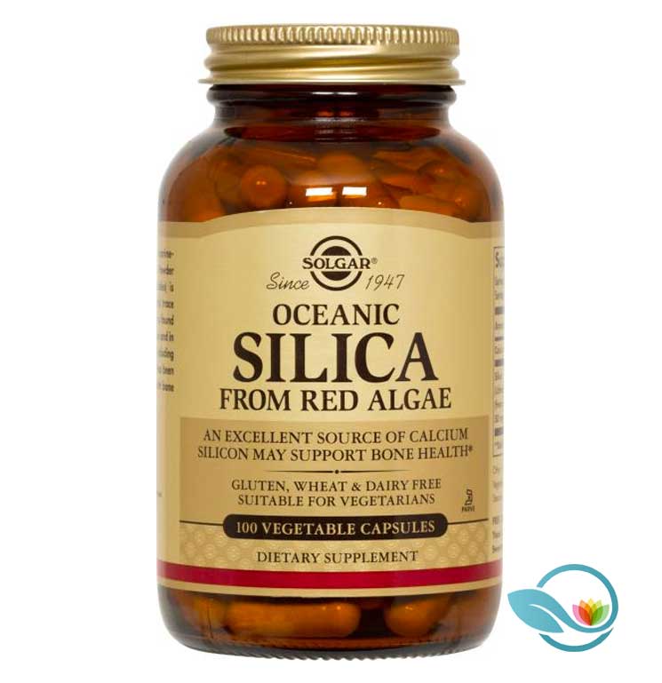 2019’s Top 10 Silica Supplements That Could Possibly Enhance One’s Health